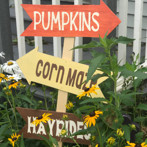 DIY Fall Yard Decor for your Home